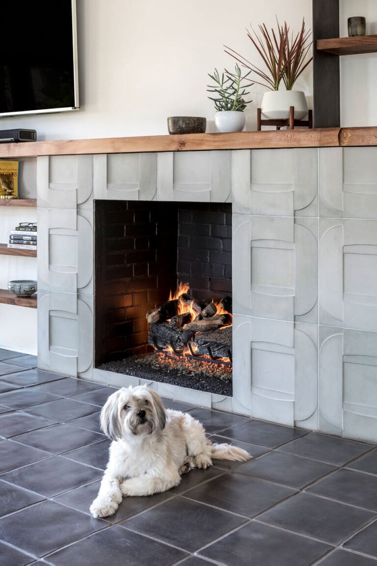 29 Examples Proving Pets and Tile Are a Perfect Match - Why Tile